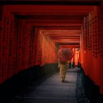 日本独自の文化はどのように形成されたのか | Meiji.net（メイジネット）明治大学